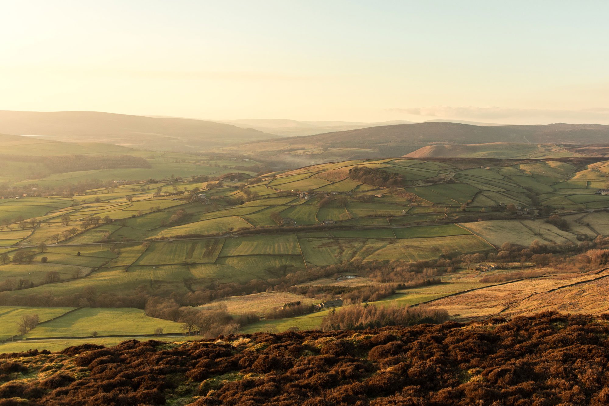 Great Outdoors — The Pointer