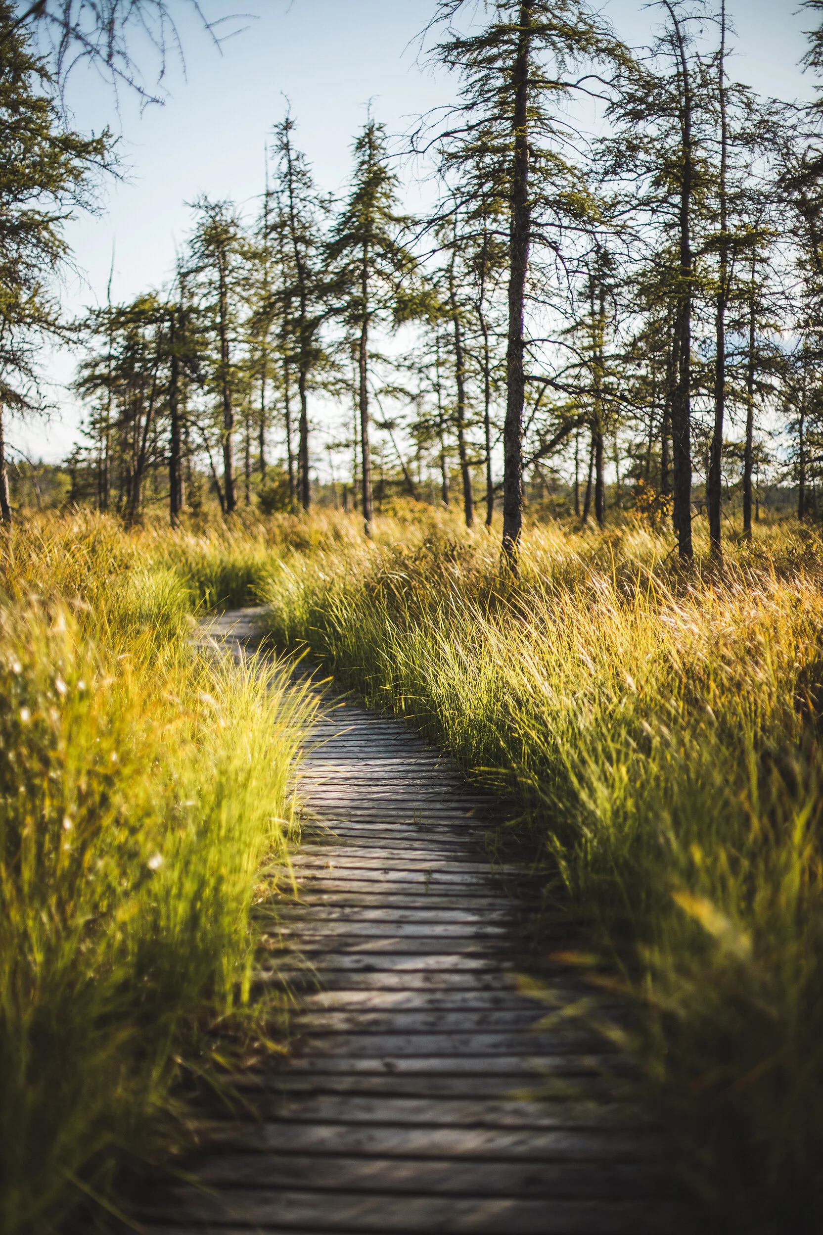 Lieux de tournage en Estrie - Paysages sauvages — Le BEAM - Bureau ...