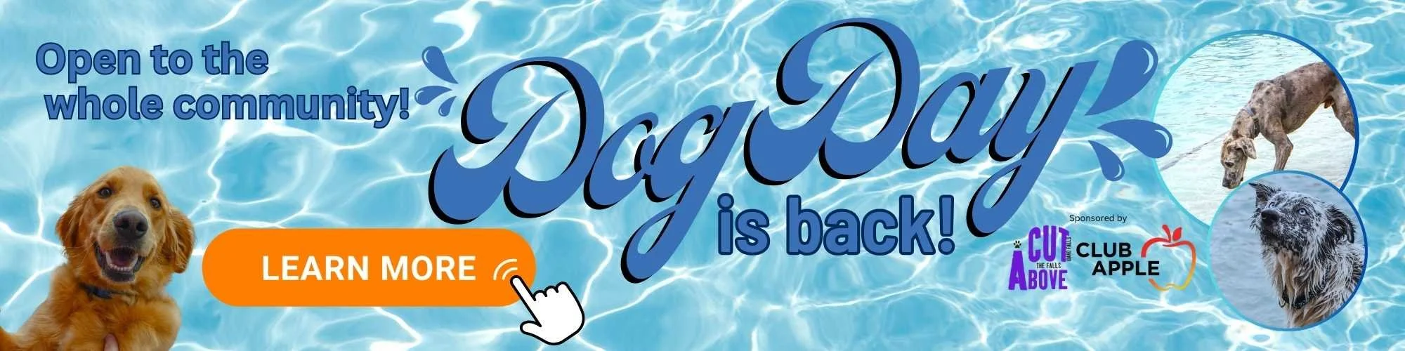 Voted Best of Idaho Falls Gyms | Idaho Falls, ID | Club Apple