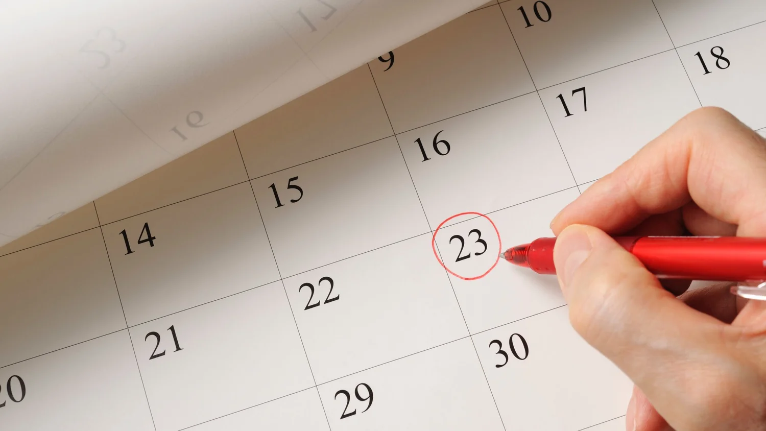 Schedule Online — T H E S T U D I O