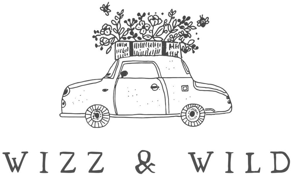wizz-and-wild