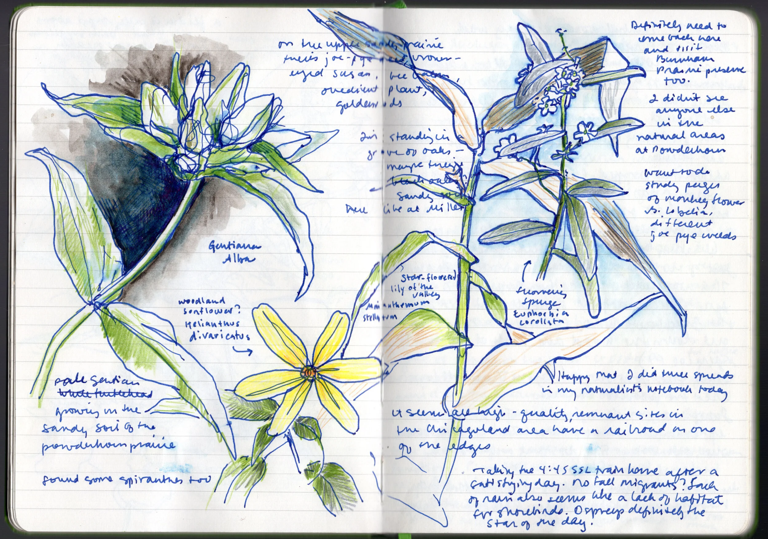 maureen clare murphy