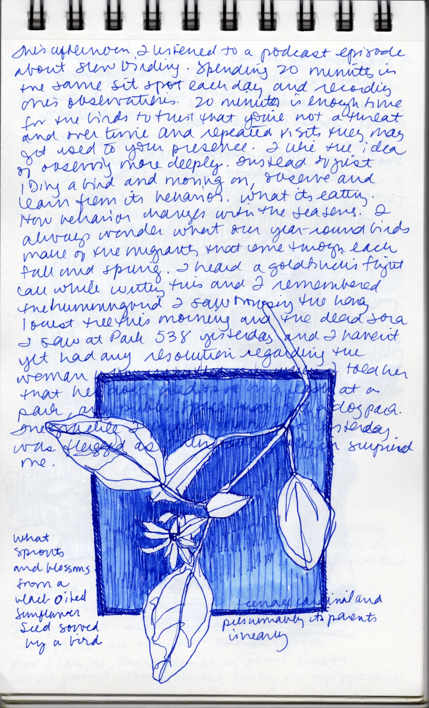 maureen clare murphy