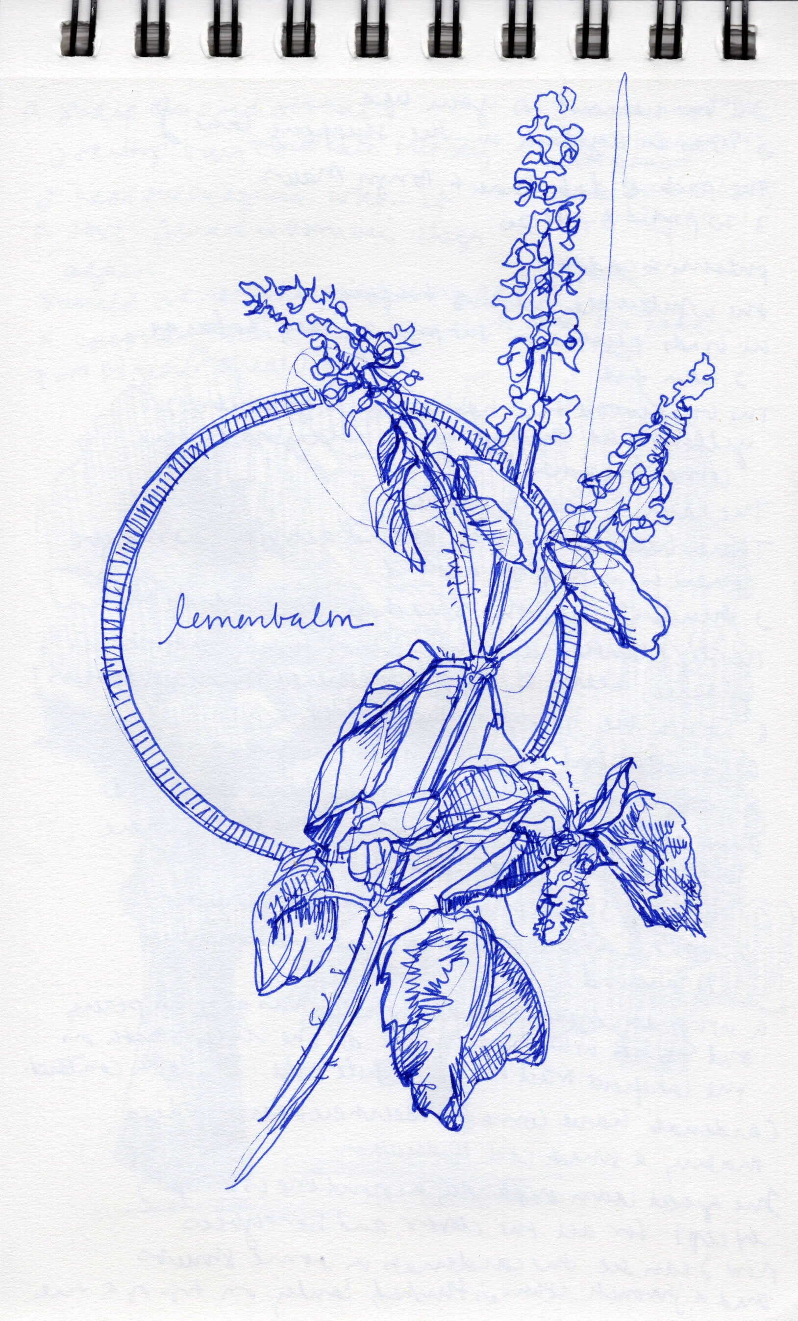 maureen clare murphy