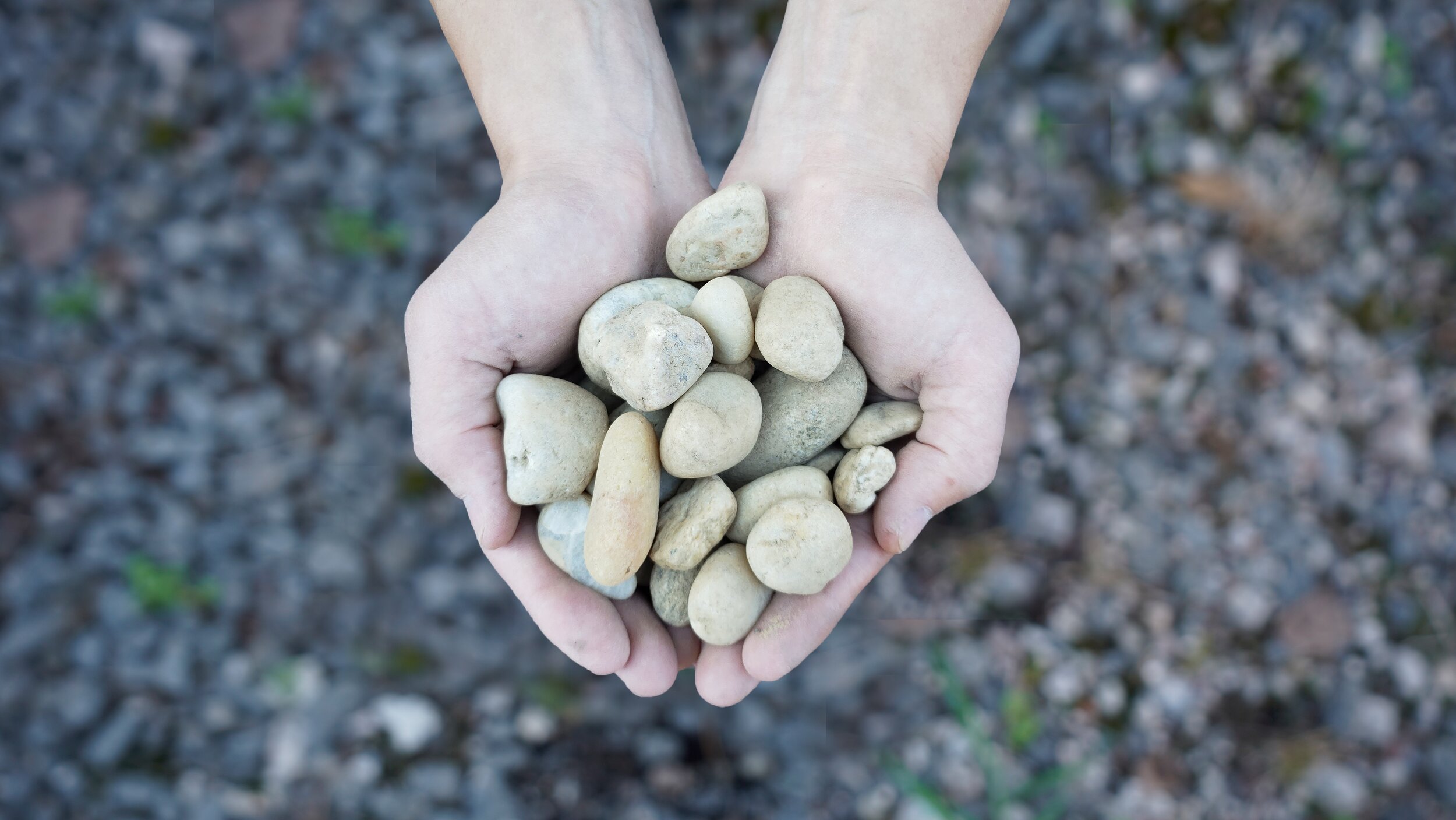 Sand, Gravel, Stone Delivery | Organic Recycling