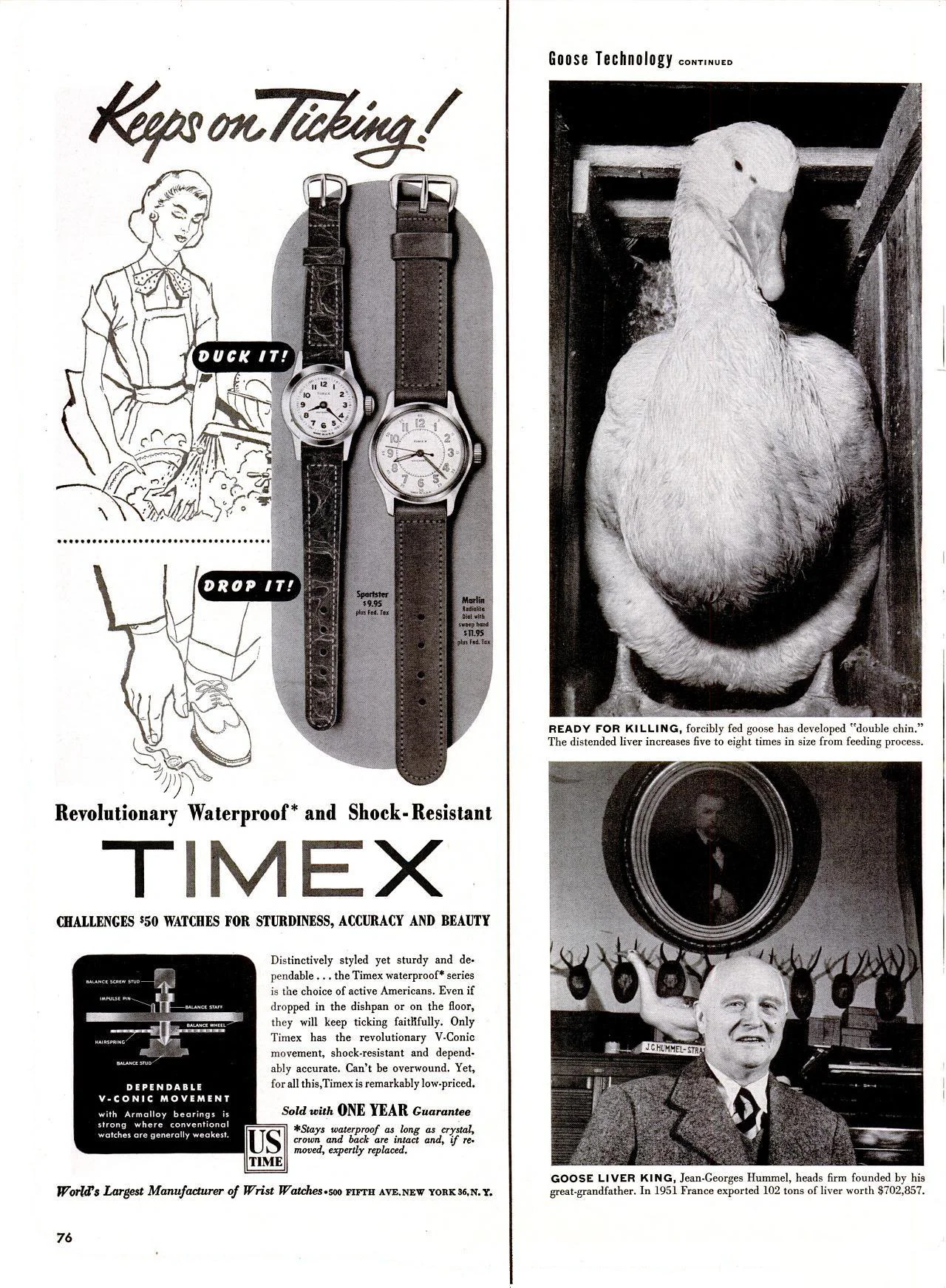 Timex 1951 Catalog and Ad Reference — Heritage 1854