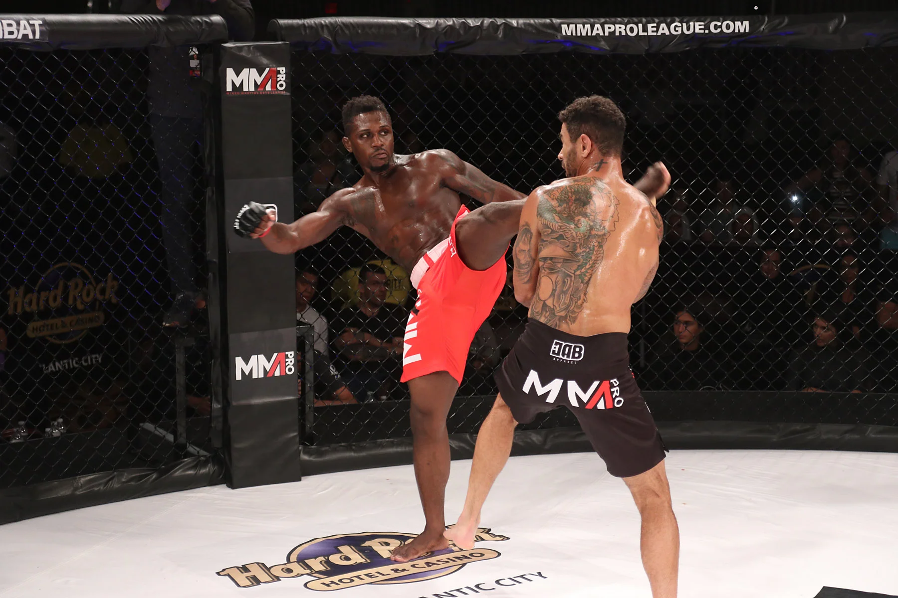 MMA PRO LEAGUE