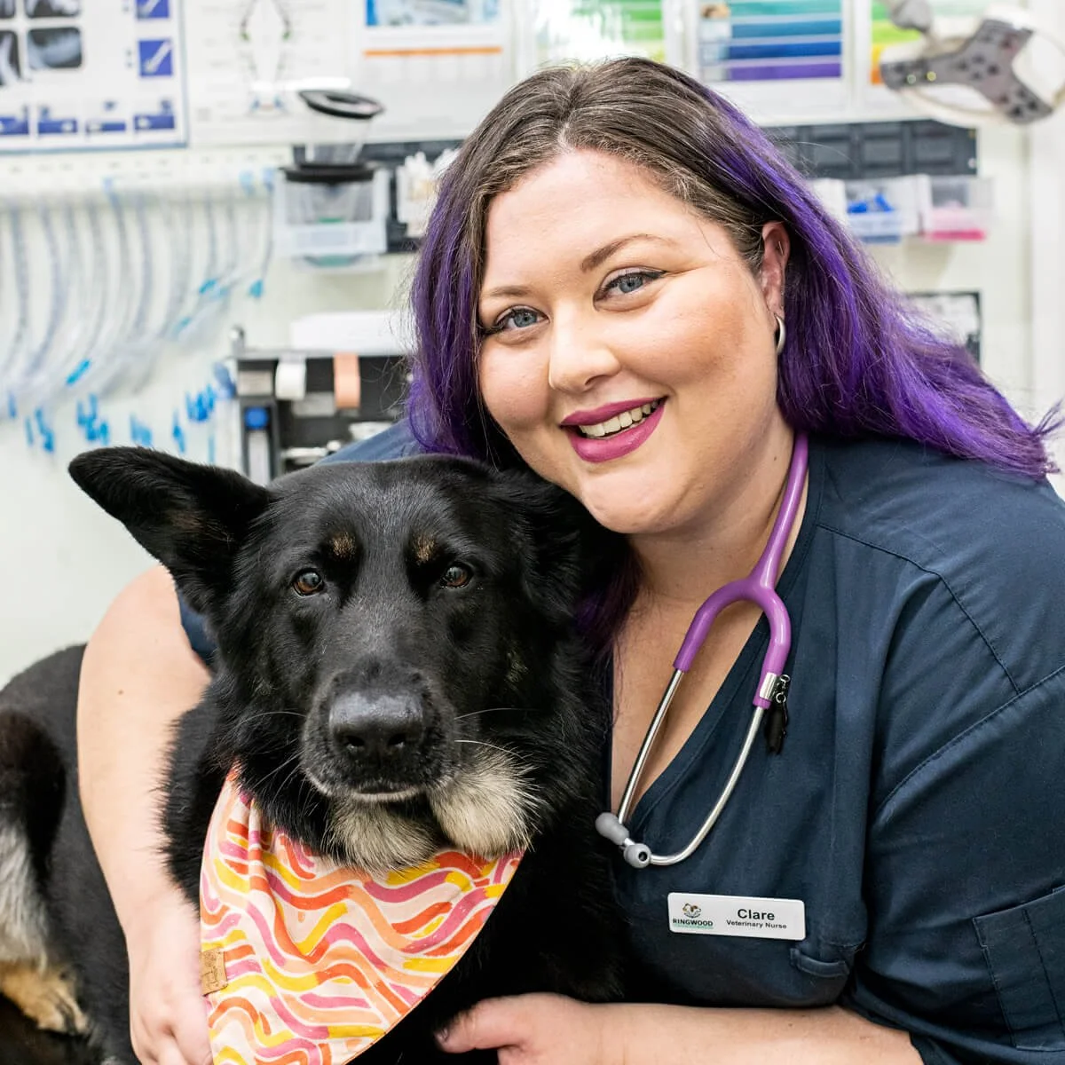 Team — Ringwood Veterinary Clinic