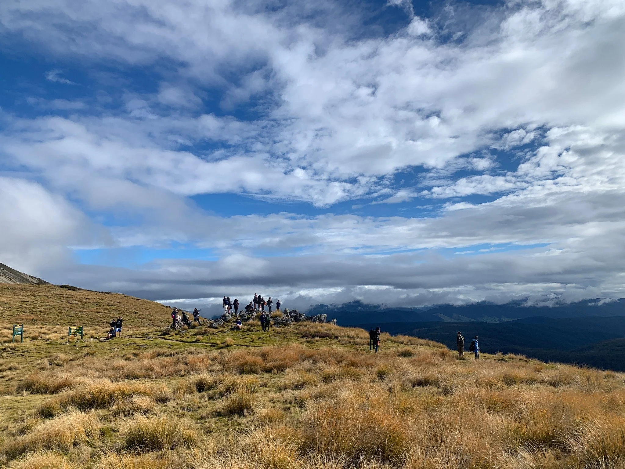 Nelson Intermediate