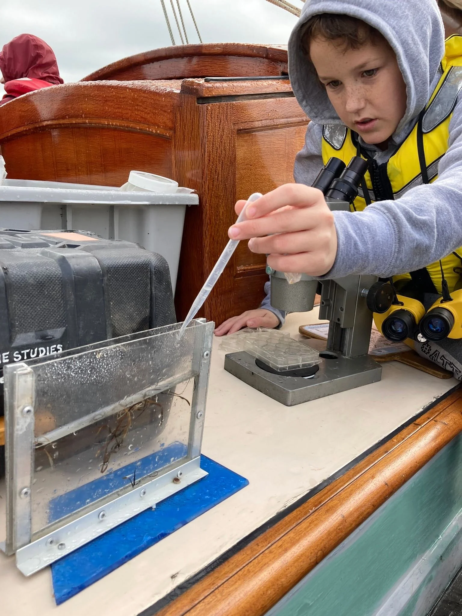 School Info — Nelson Intermediate