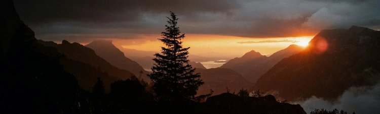 From Patrick Untersee @sparki on Unsplash — Dinar Recaps