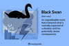 Black Swan in the Stock Market: What Is It, With Examples and History ...