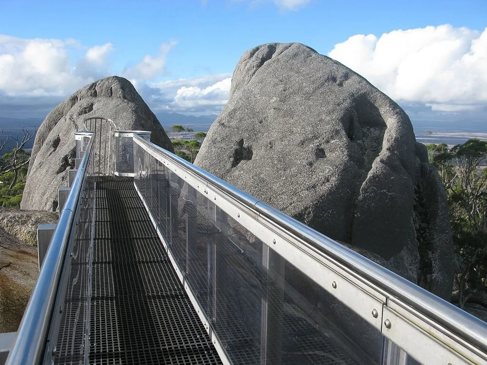 Activities — Karribank and the Karri On Bar