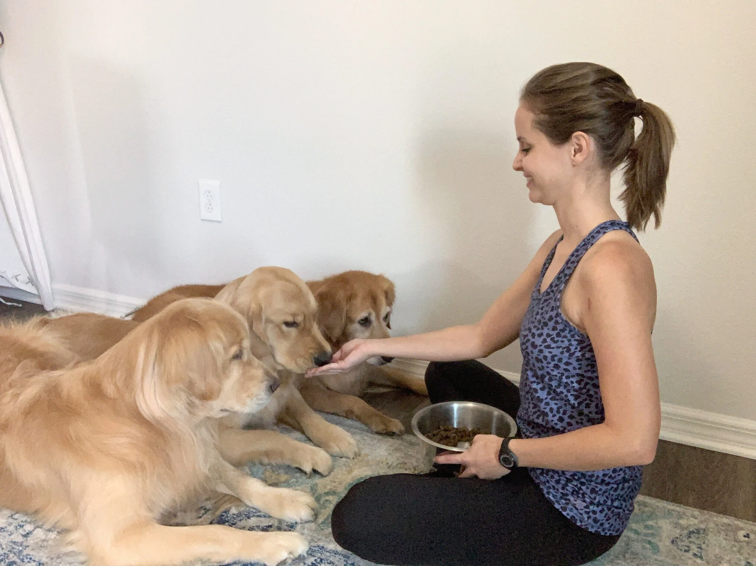 How Do I Stop Hand Feeding My Dog