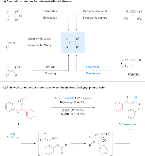 2025 — Magnus Rueping Research Group