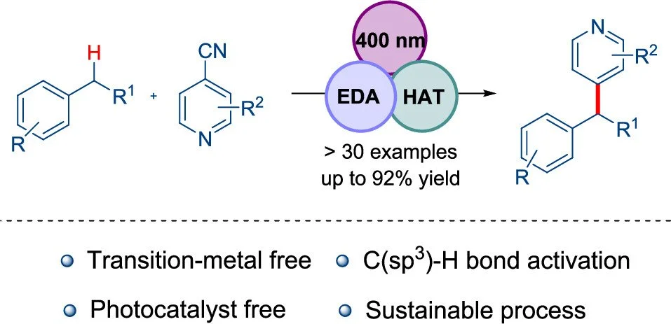 2024 — Magnus Rueping Research Group
