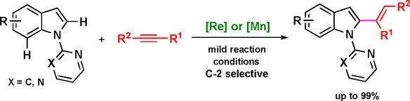 2018 — Magnus Rueping Research Group
