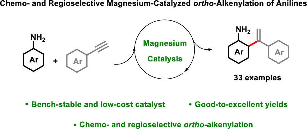 2019 — Magnus Rueping Research Group