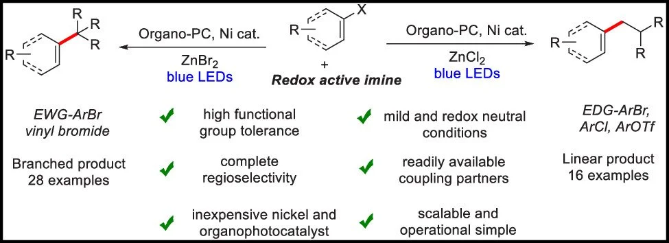 2022 — Magnus Rueping Research Group
