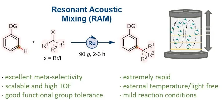 2024 — Magnus Rueping Research Group