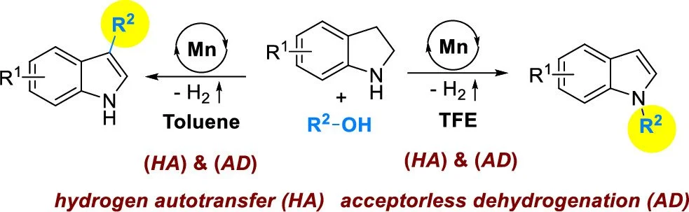 2020 — Magnus Rueping Research Group