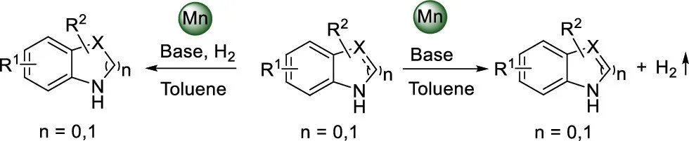 2020 — Magnus Rueping Research Group
