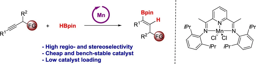 2020 — Magnus Rueping Research Group