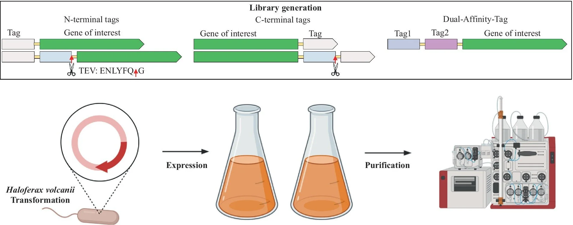 2024 — Magnus Rueping Research Group