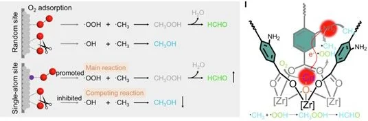 2024 — Magnus Rueping Research Group