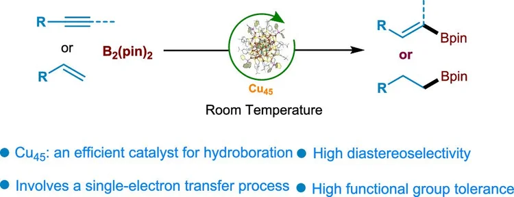 2024 — Magnus Rueping Research Group
