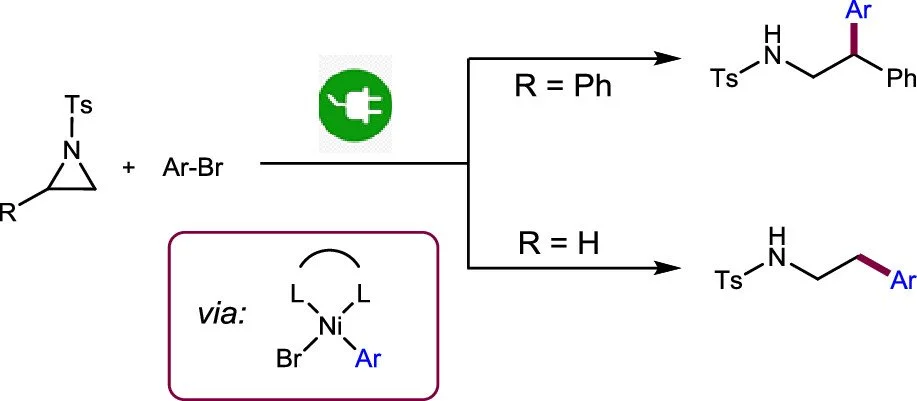 2023 — Magnus Rueping Research Group