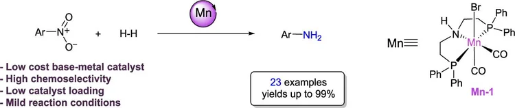 2021 — Magnus Rueping Research Group