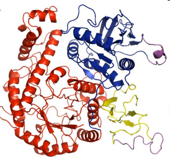 2020 — Magnus Rueping Research Group