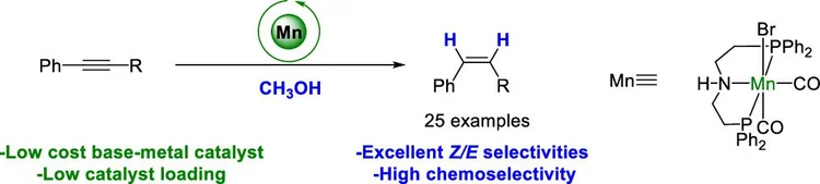 2020 — Magnus Rueping Research Group