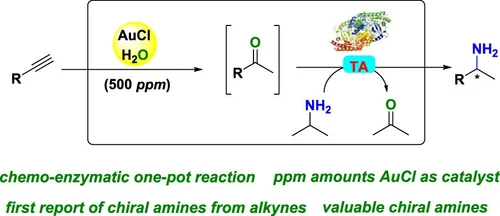 2021 — Magnus Rueping Research Group