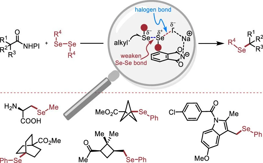 2023 — Magnus Rueping Research Group