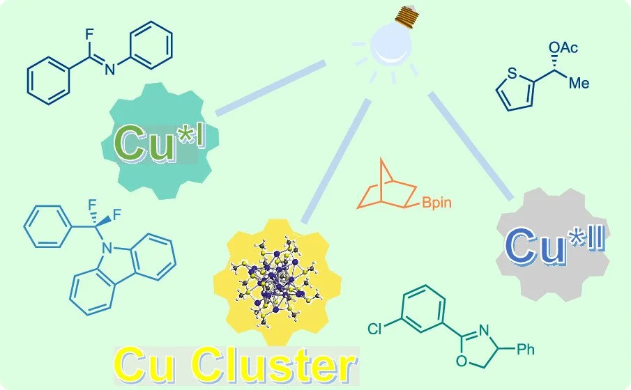 2024 — Magnus Rueping Research Group