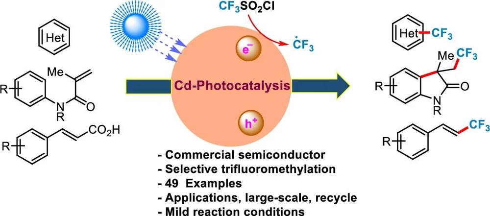 2021 — Magnus Rueping Research Group