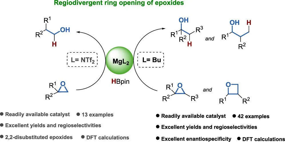 2020 — Magnus Rueping Research Group