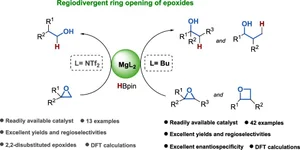 2020 — Magnus Rueping Research Group