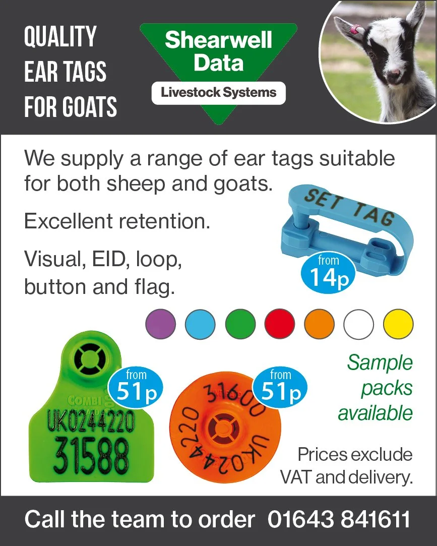 Attractions With English Goats — English Goat Breeders Association