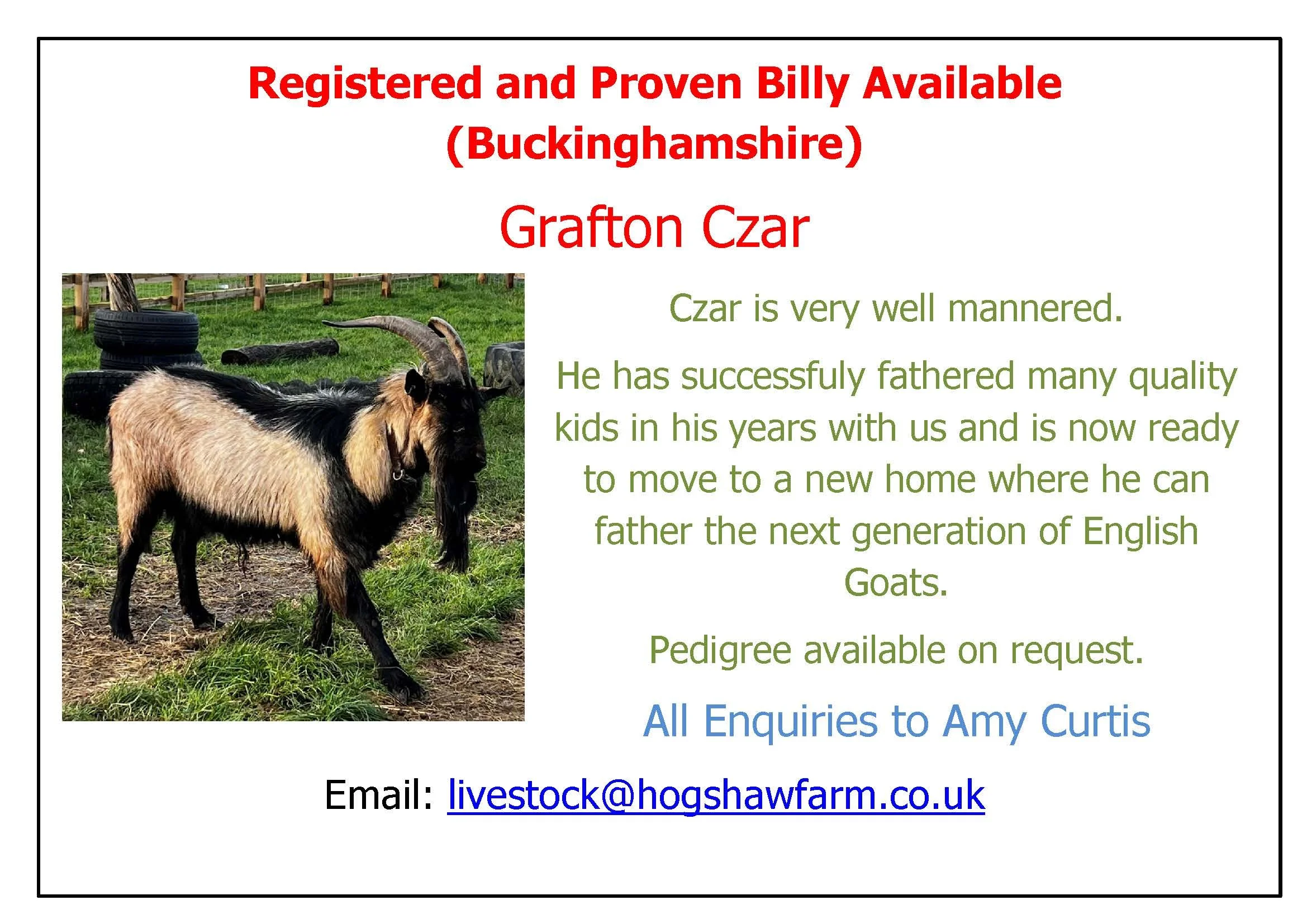 Marketplace — English Goat Breeders Association