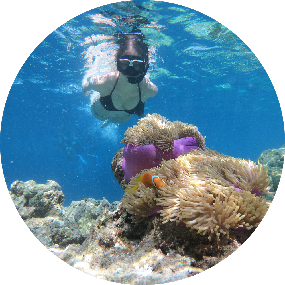 Half Day Boat Charters & Trips BVI & USVI - BVI Chillout Charters