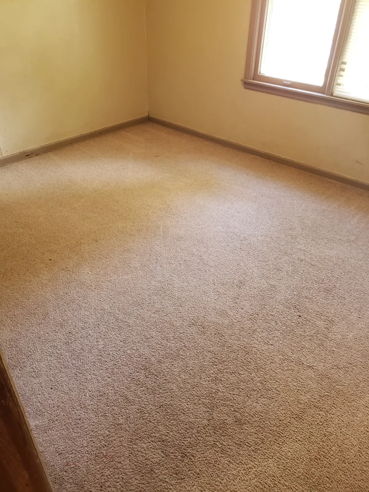 Color-Brite Carpet Cleaning & Restoration | Wichita KS