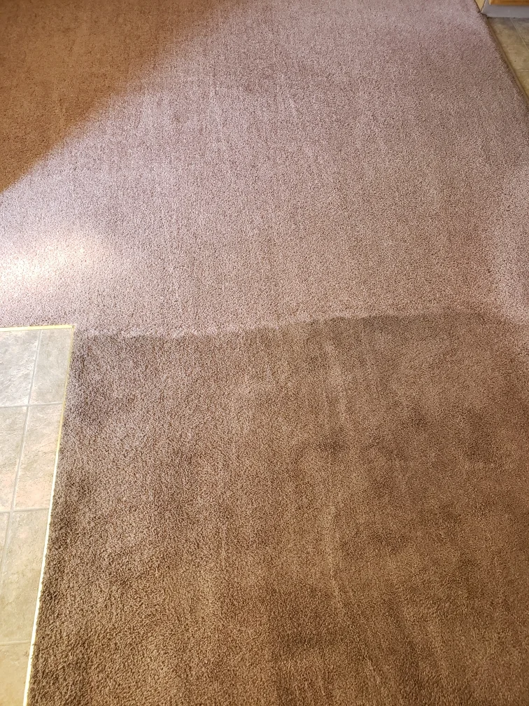 Color-Brite Carpet Cleaning & Restoration | Wichita KS