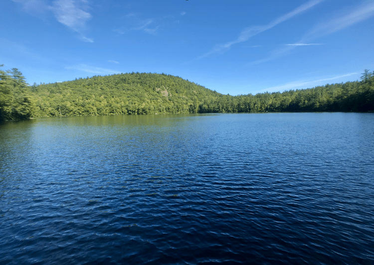 Cushman Pond — Kezar Lake Watershed Association