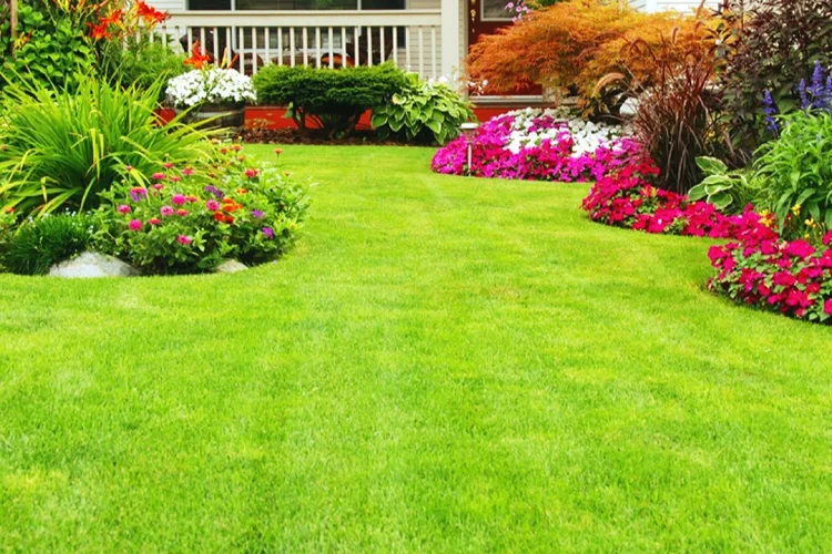 Services — JP LANDSCAPING