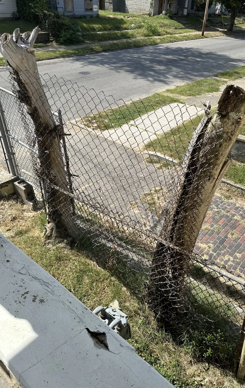 Why Build a Fence..?