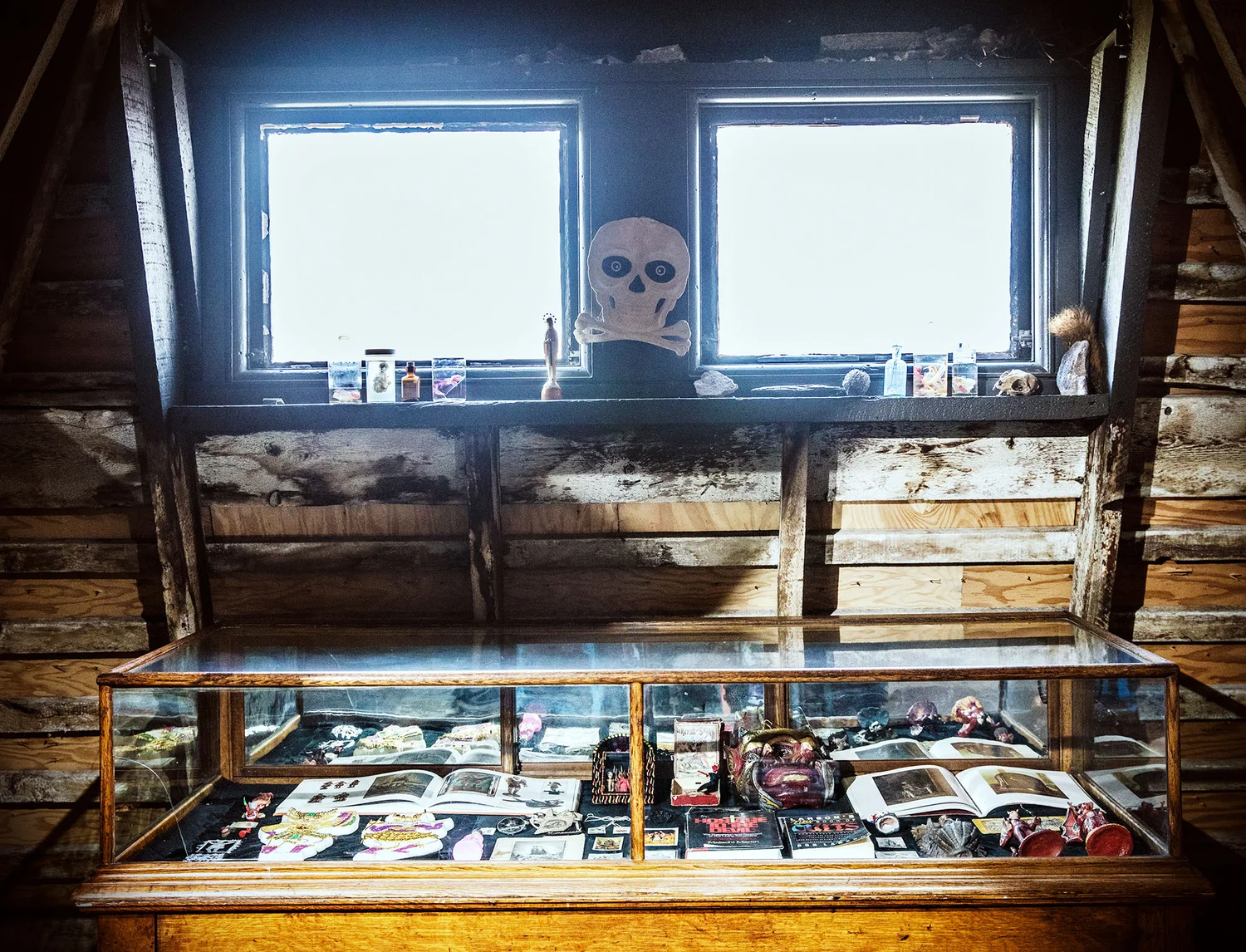 Morbid Anatomy Joanna Ebenstein — Joanna Ebenstein