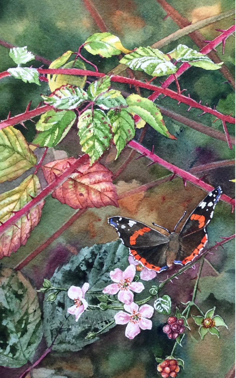 Larger paintings — Sue van Coppenhagen